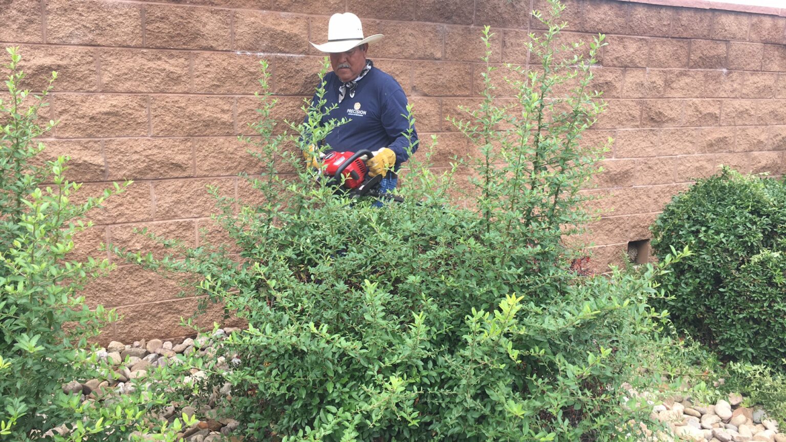 Maintenance | Precision Landscape and Maintenance